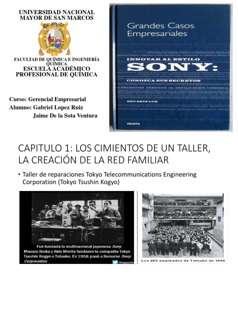 SONY | PDF | Sony | Business