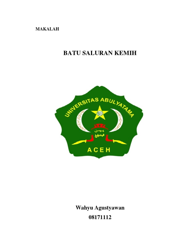 Batu Saluran Kemih | PDF