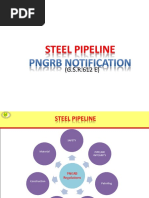 PNGRB Guidelines | PDF | Natural Gas | Pipeline Transport
