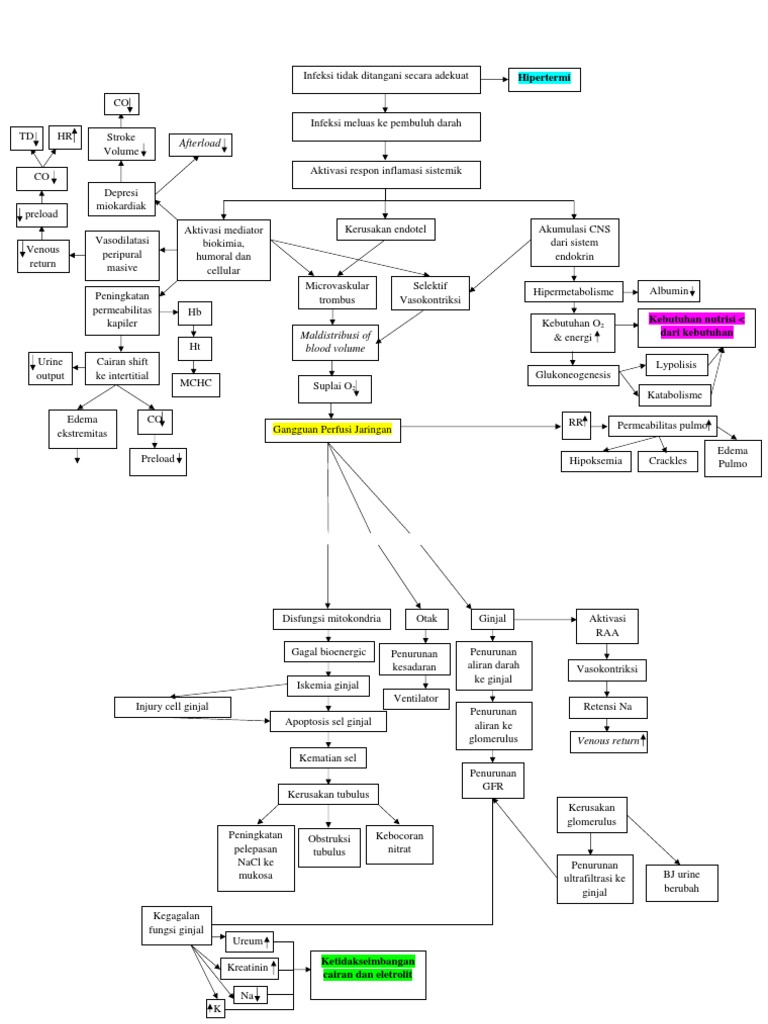 Patofisiologi Syok Sepsis AKI | PDF