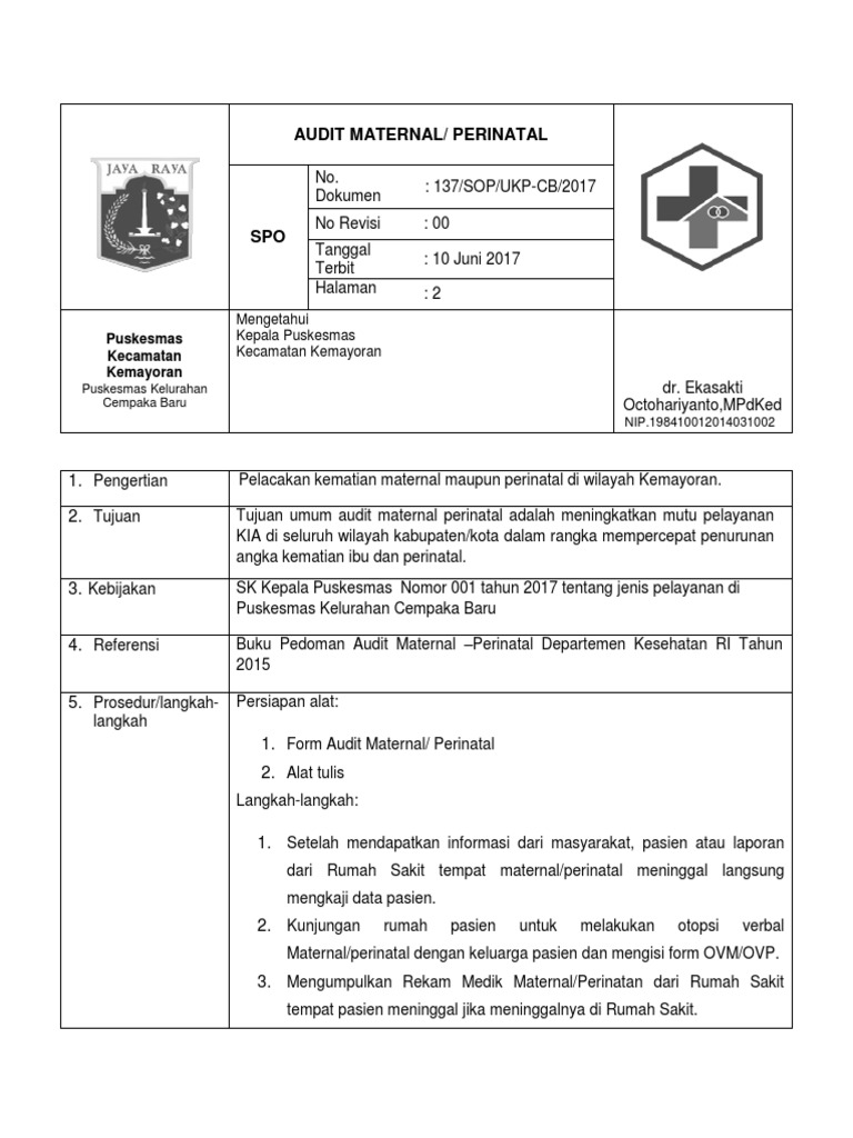 137 Audit Maternal | PDF