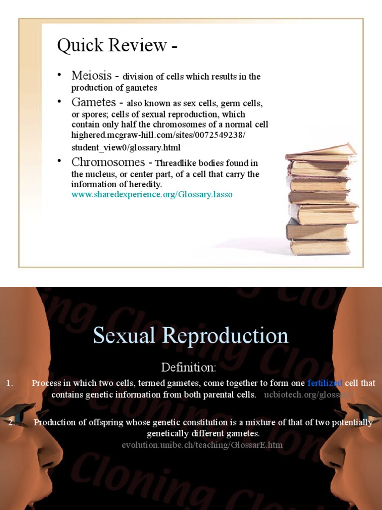 Sexual Reproduction Lesson | PDF | Sexual Reproduction | Genetics