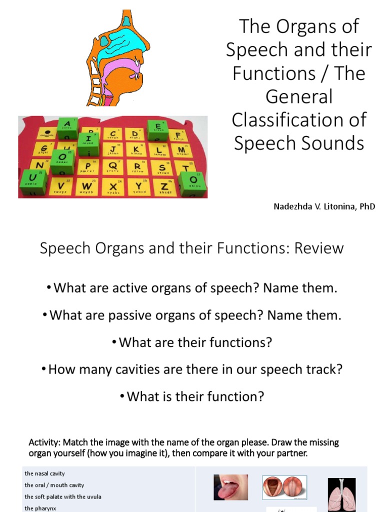 Functions of Organs of Speech | PDF | Speech | Consonant