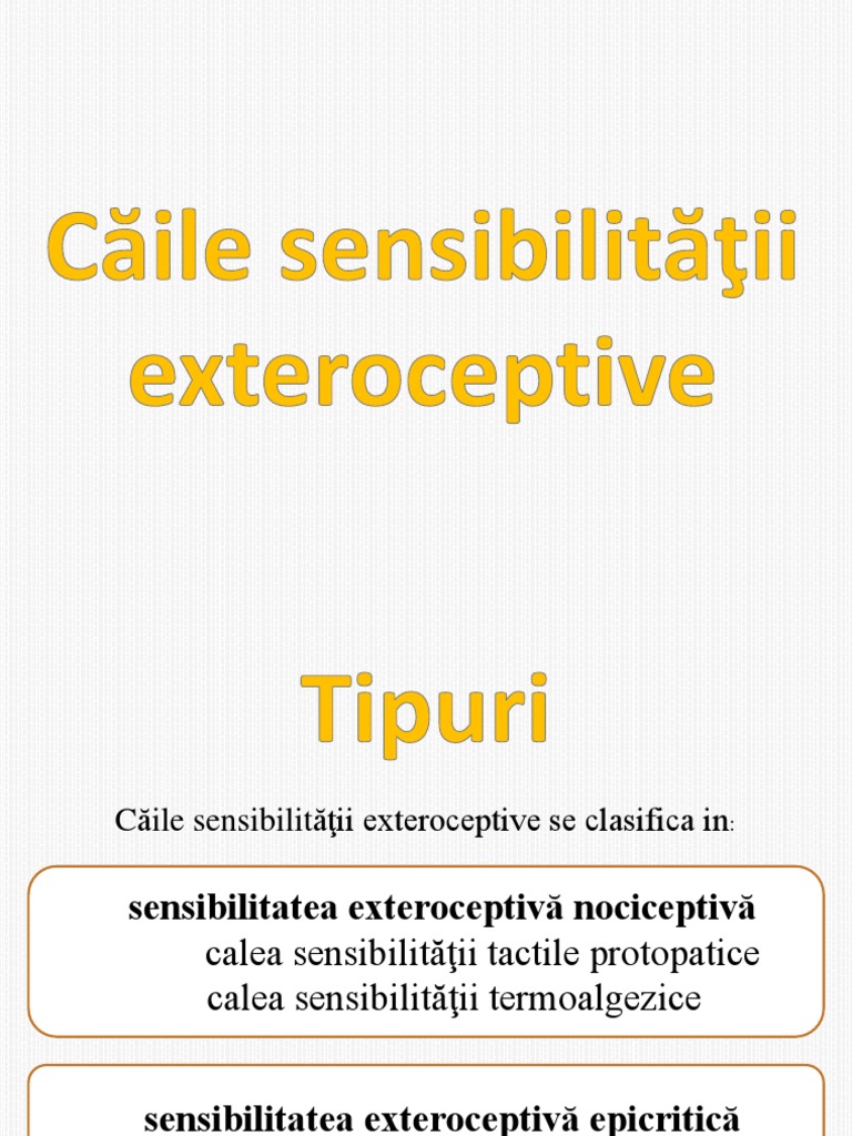 Caile Sensibilitatii Exteroceptive - PPSX | PDF