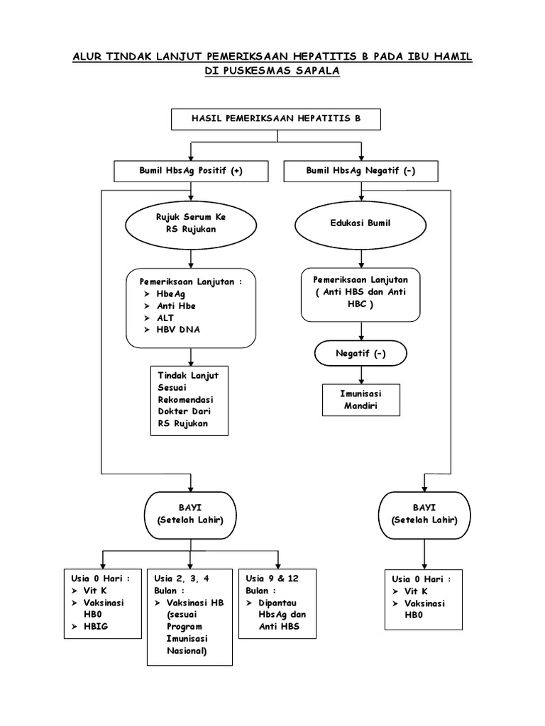 Alur Tindak Lanjut Pemeriksaan Hepatitis B Pada Ibu Hamil | PDF