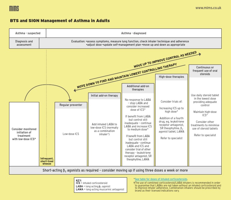 BTS and SIGN Management of Asthma in Adults: Ve Control A S Needed APY ...