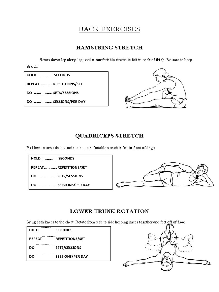 Back Exercises: Hamstring Stretch | PDF | Anatomical Terms Of Motion ...