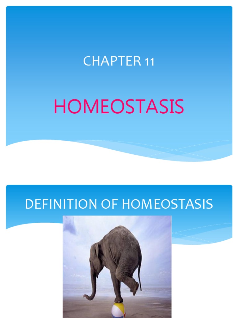 Biology STPM Chapter 11 Term 2 | PDF | Homeostasis | Thermoregulation