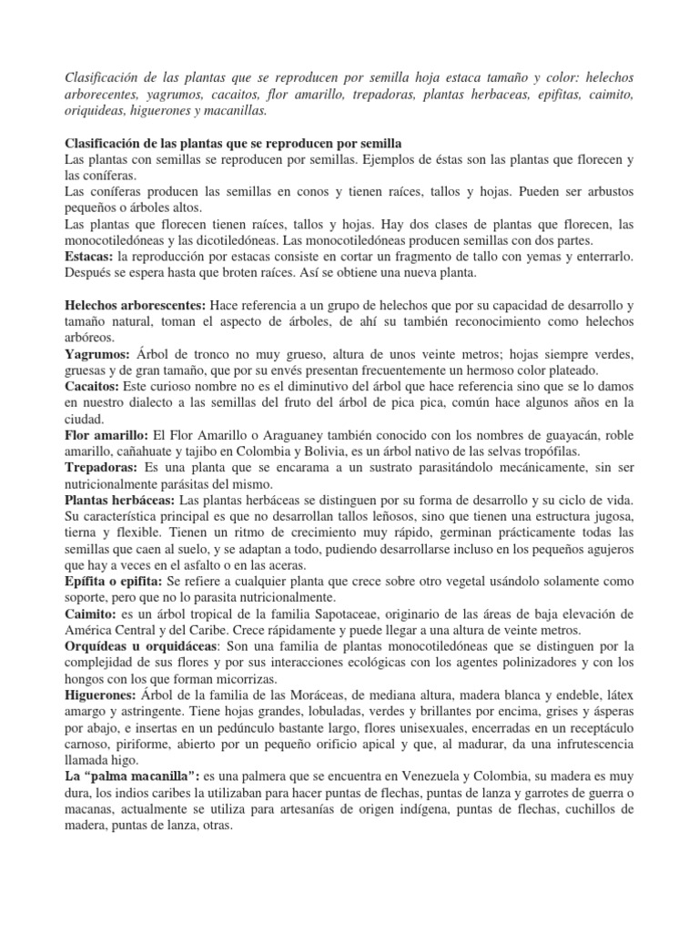 Clasificación de Las Plantas Que Se Reproducen Por Semilla Hoja Estaca ...