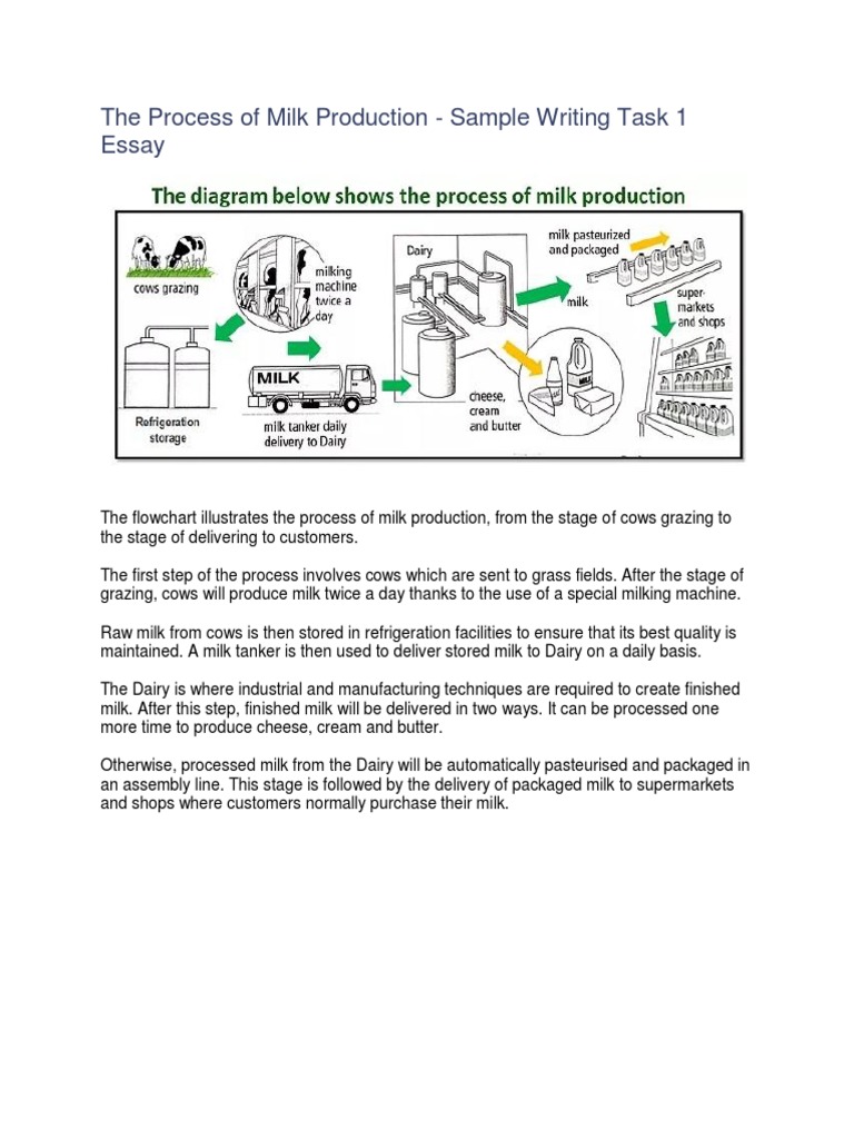 Milk Production Process Overview | PDF | Cooking, Food & Wine
