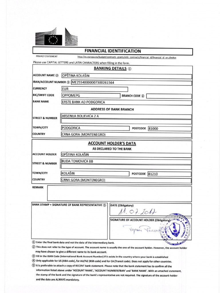 Financial Identification PDF | PDF