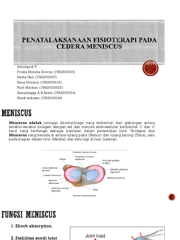 Status Klinik Meniscus Tear | PDF