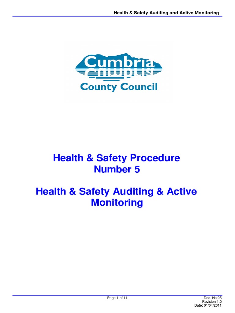 Auditing and Active Monitoring | PDF | Occupational Safety And Health ...