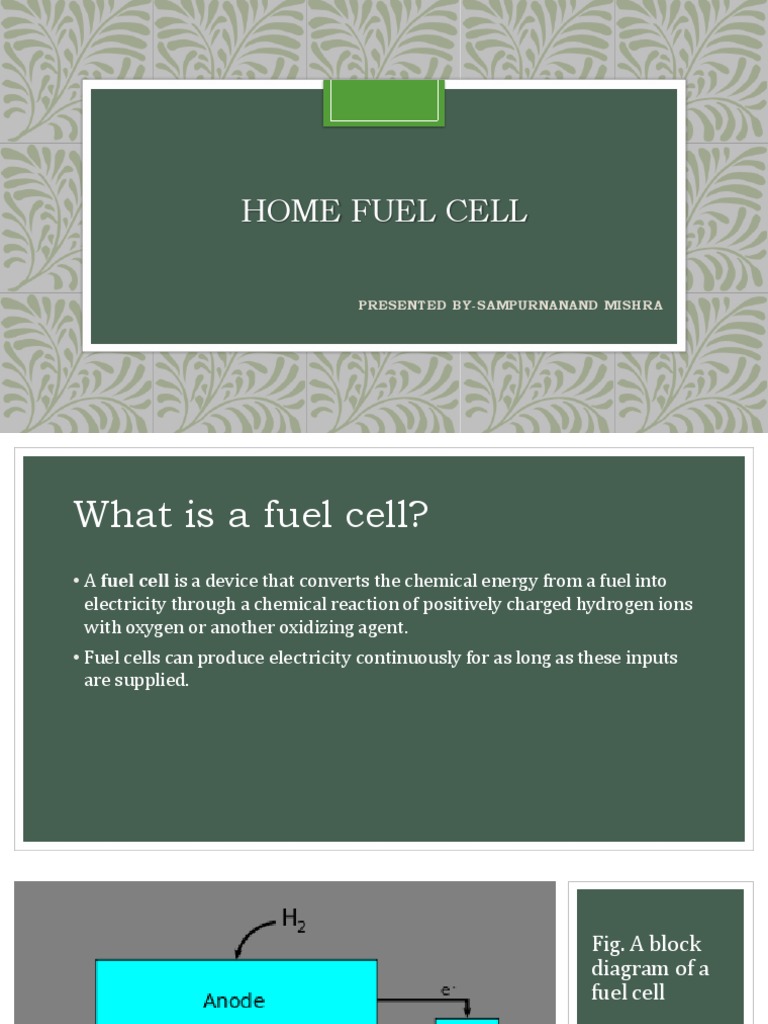 Home Fuel Cell: Presented By-Sampurnanand Mishra | PDF | Fuel Cell ...