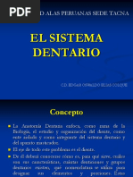 Ciclo Vital de Los Ameloblastos | PDF | Citoplasma | Esmalte de dientes