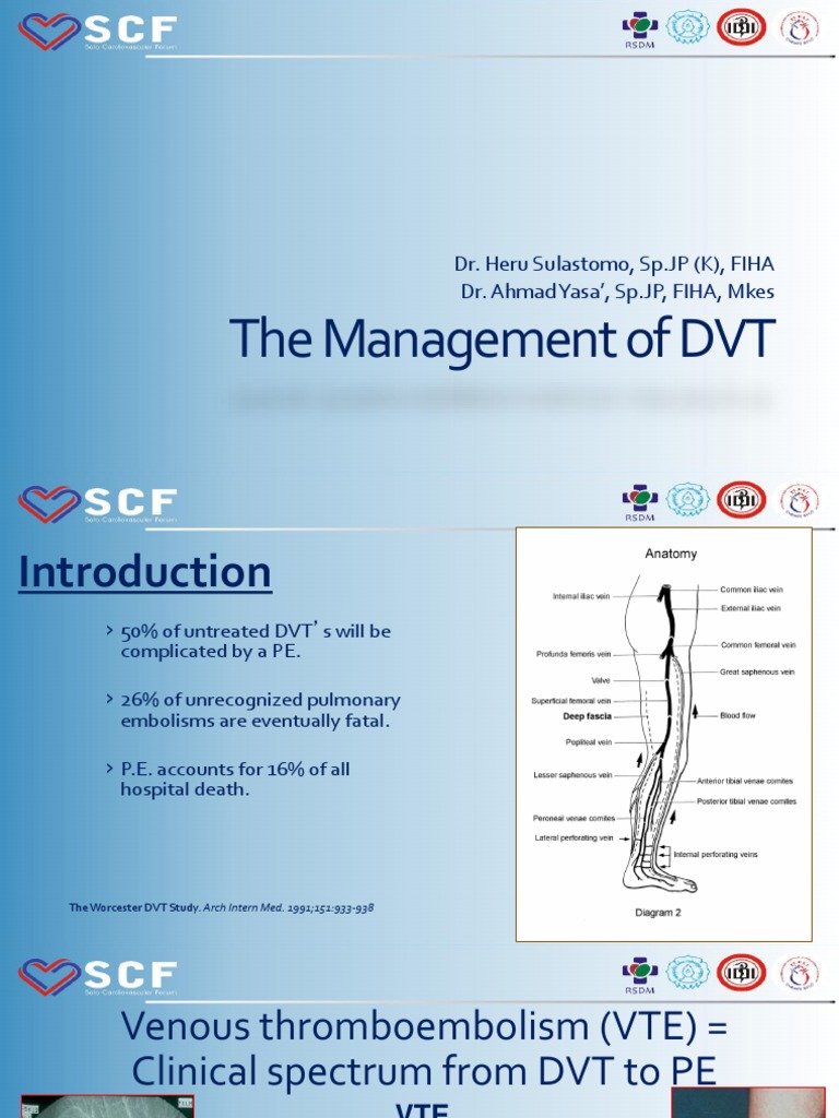 The Management of DVT: Dr. Heru Sulastomo, SP - JP (K), FIHA Dr. Ahmad ...