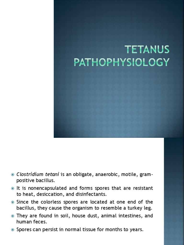 Tetanus Pathophysiology | Neuroscience | Nervous System