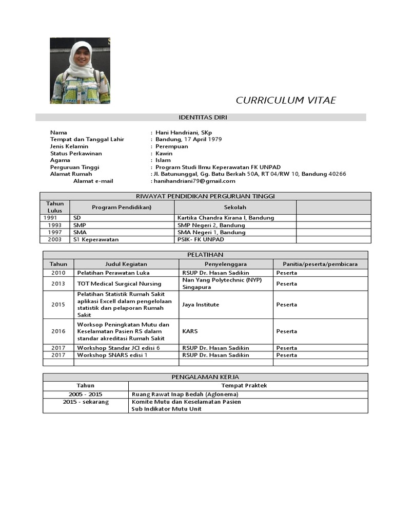 CV Hani | PDF