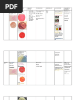 Aerobic Gram Negative Rods Flowchart 508 | PDF | Gram Negative Bacteria ...