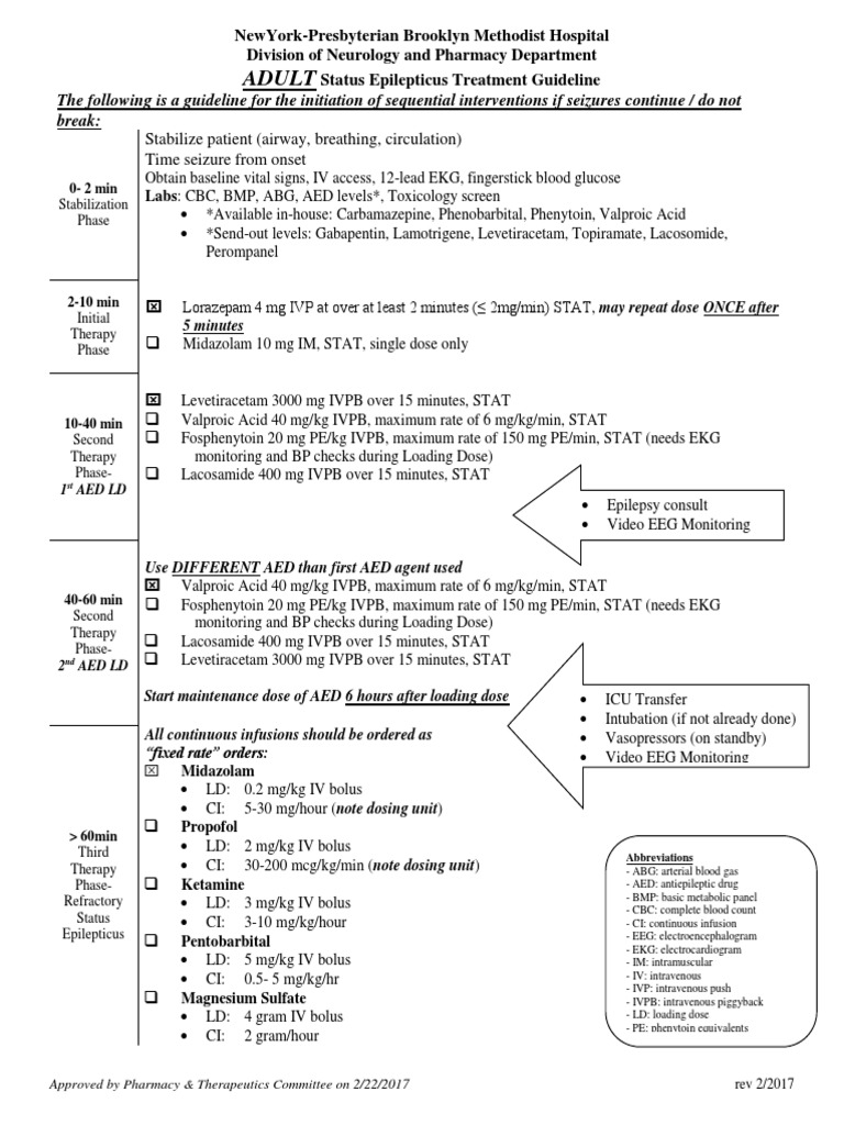 1300 Status Epilepticus Guideline Nouri | PDF | Episodic And Paroxysmal ...