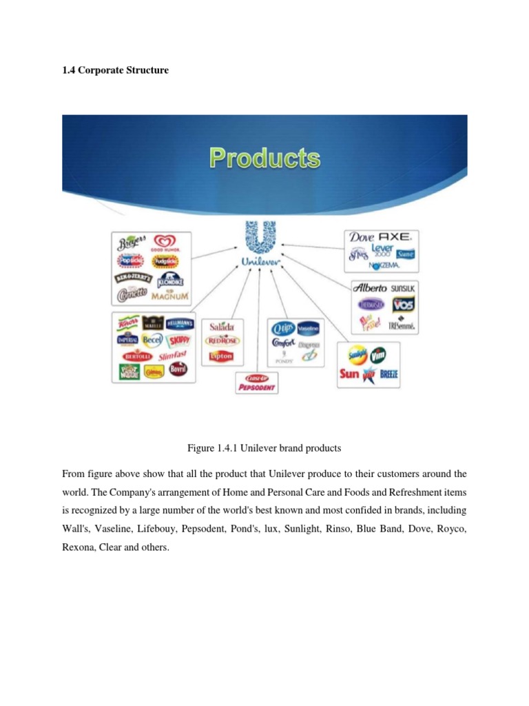 1.4 Corporate Structure | PDF | Corporate Social Responsibility | Unilever