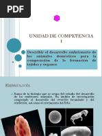 Desarrollo Animal: Etapas Clave | PDF | Zoología | Ciencias de la vida