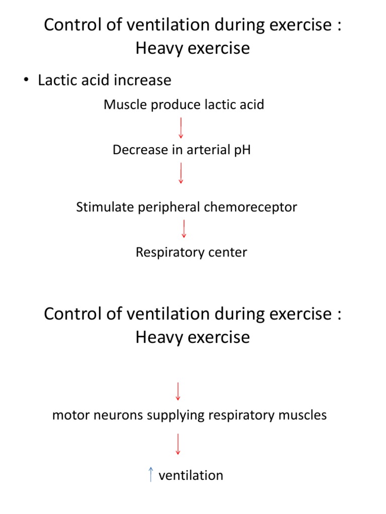 Control of Ventilation During Exercise | PDF | Wellness | Science ...