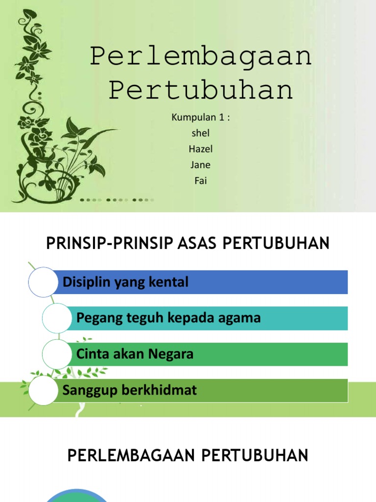 Perlembagaan Pertubuhan TKRS | PDF