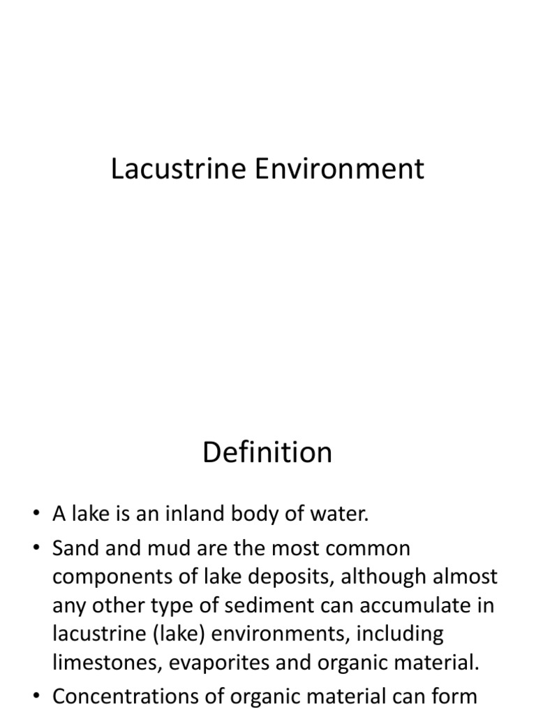 Lacustrine Environment | Lake | Sedimentary Rock