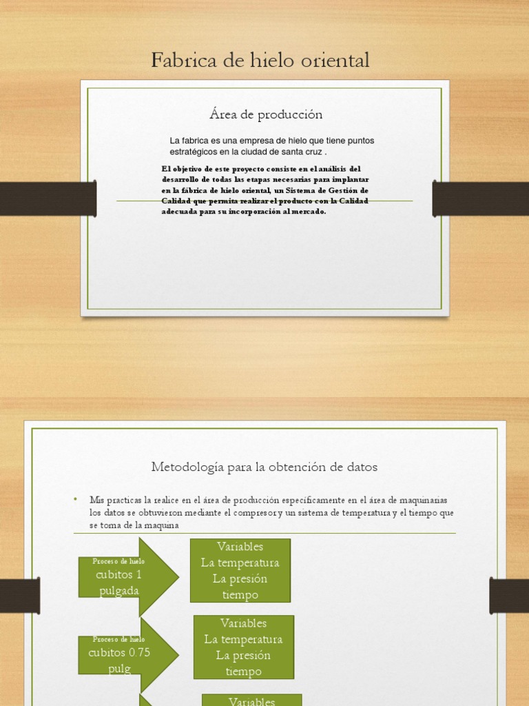 Fabrica de Hielo Oriental Fransua | PDF | Calidad (comercial) | Business