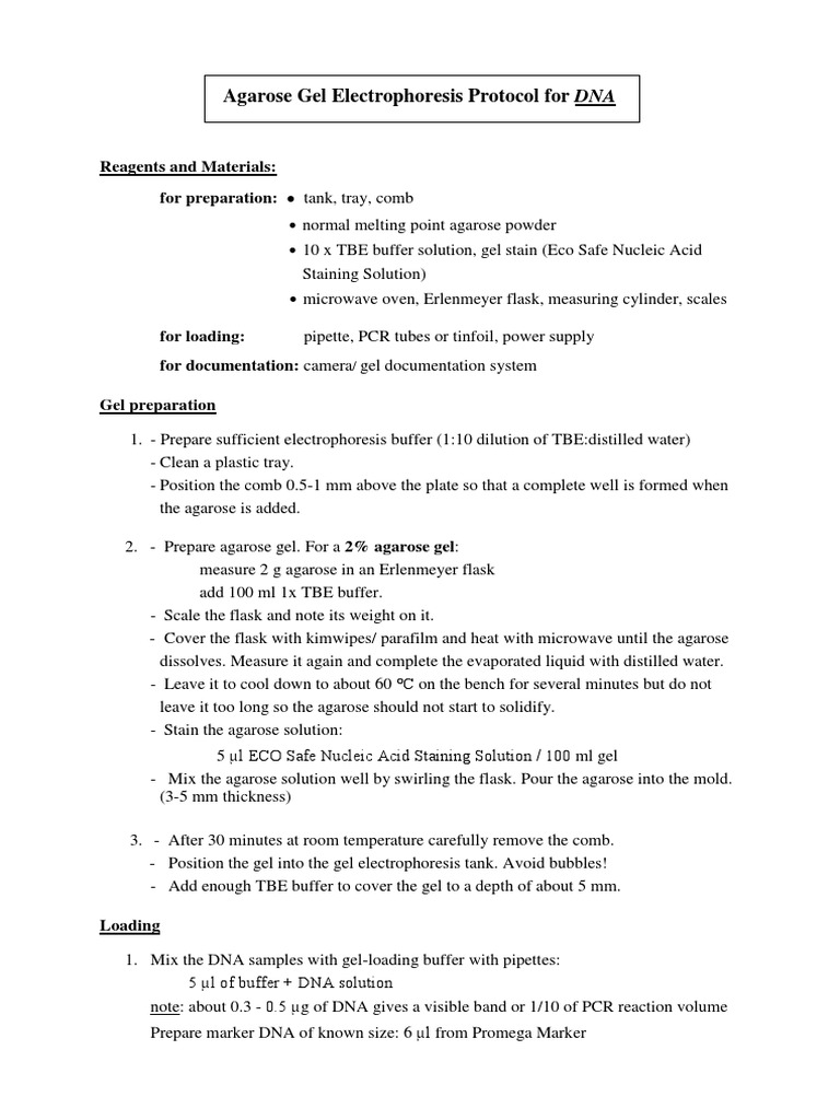 Agarose Gel Electrophoresis Protocol For DNA | PDF | Agarose Gel ...