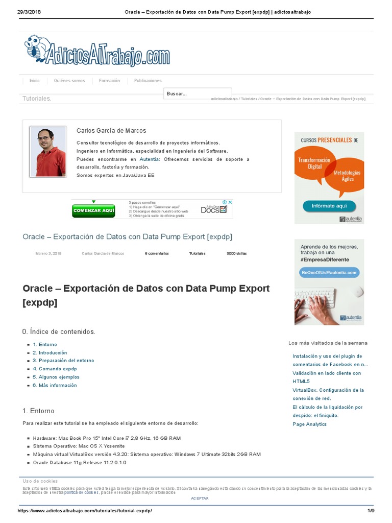 Oracle Exportación De Datos Con Data Pump Export Pdf Cookie