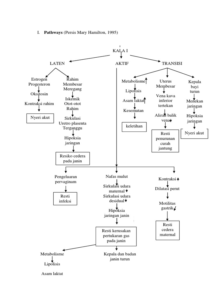 Pathways Intranatal Care | PDF