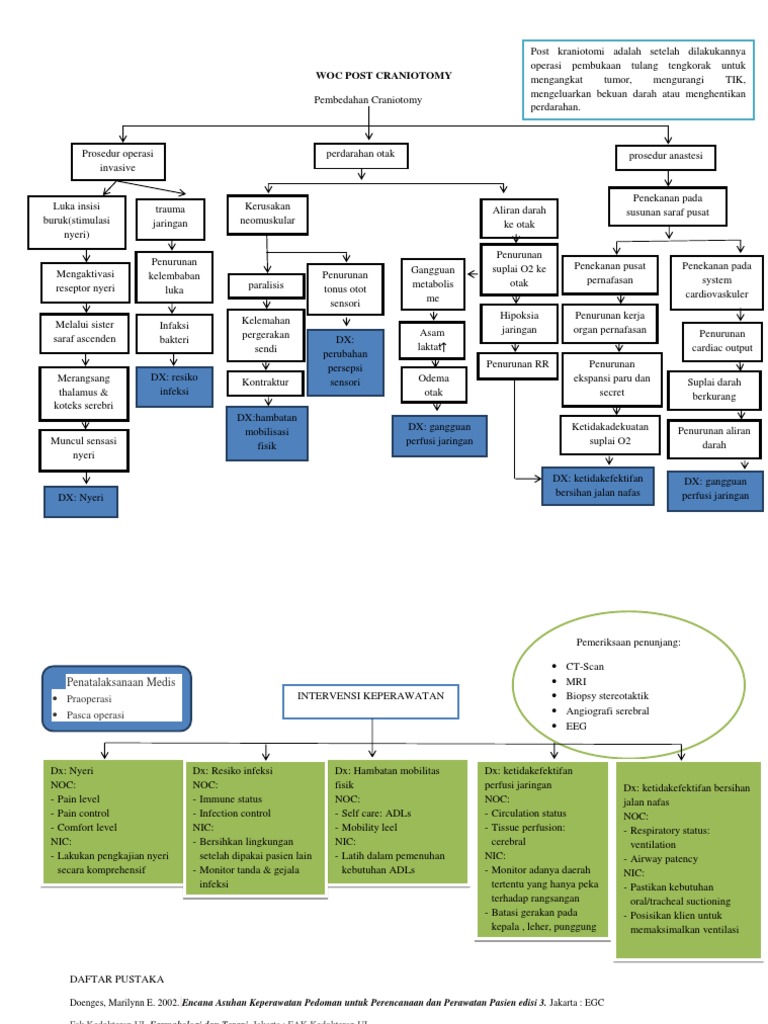 Woc Post Craniotomy | PDF