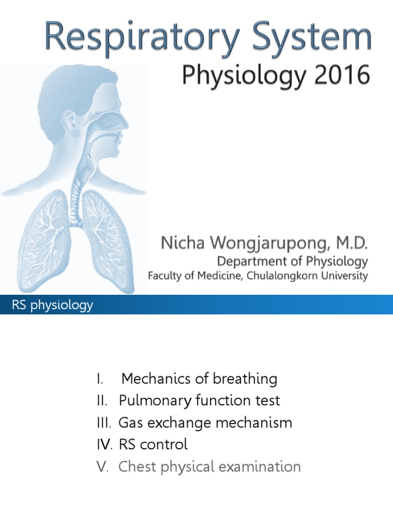 Respiratory Physiology Review | PDF