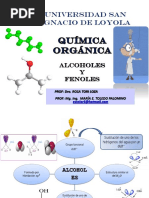 Estructura y Tipos de Grupos Alquilo | PDF