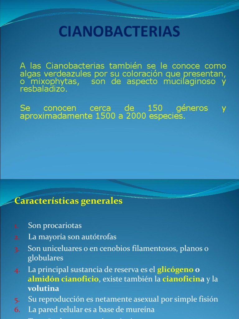 Características y Reproducción de Cianobacterias | PDF | Cianobacterias ...