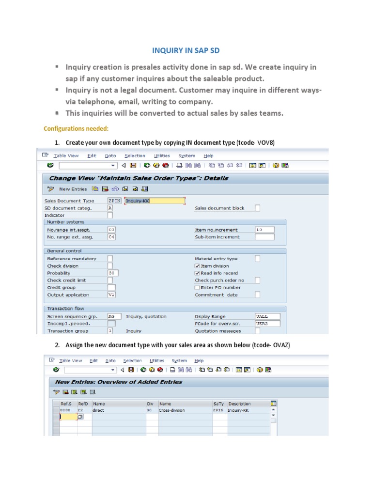 INQUIRY PROCESS IN SAP SD, INQUIRY SAP | Computing | Technology