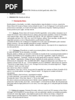Muestra de Brief Creativo - Pepsi Co | PDF | Pepsi | Coca Cola