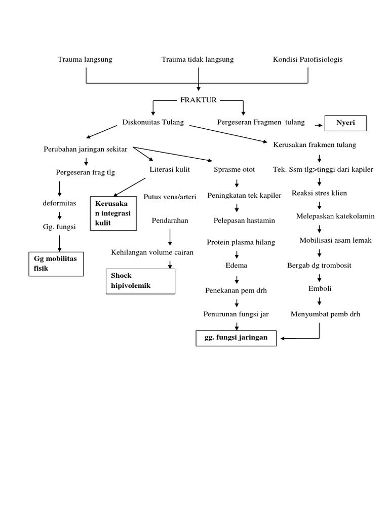 Pathway Fraktur | PDF
