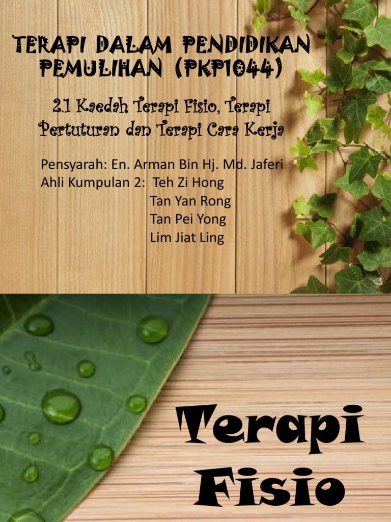 Terapi Fisio Terapi Pertuturan Dan Terapi Cara Kerja | PDF