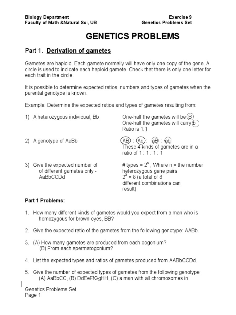 Genetic Problems | PDF | Dominance (Genetics) | Zygosity