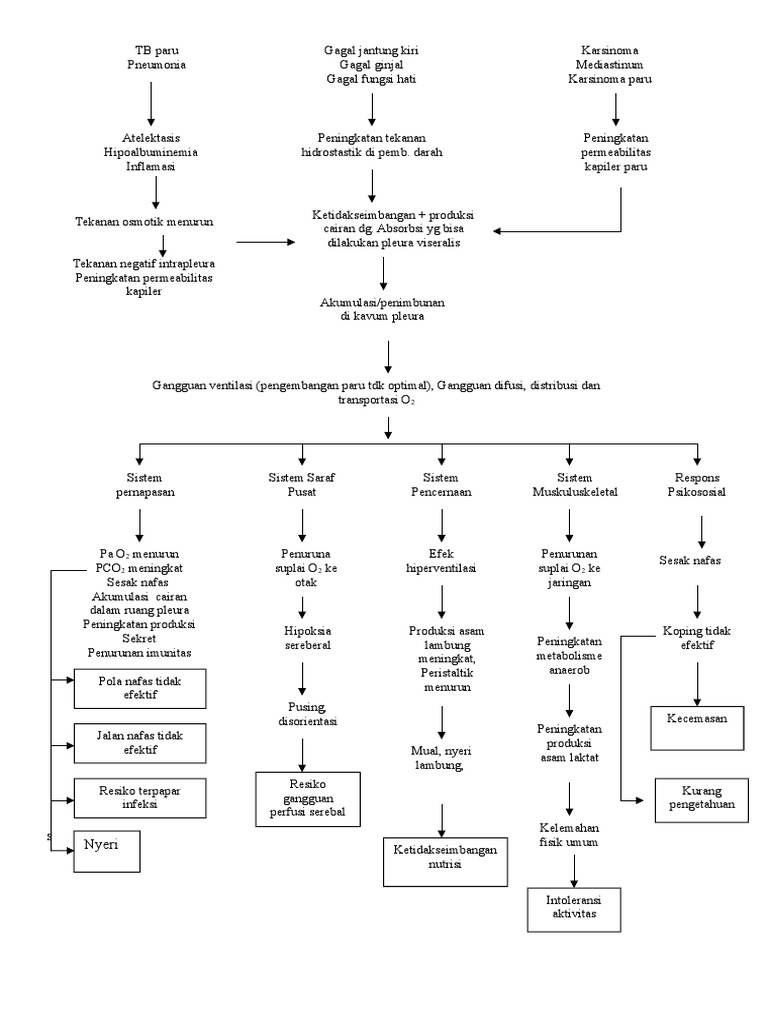 Pathway Efusi Pleura | PDF