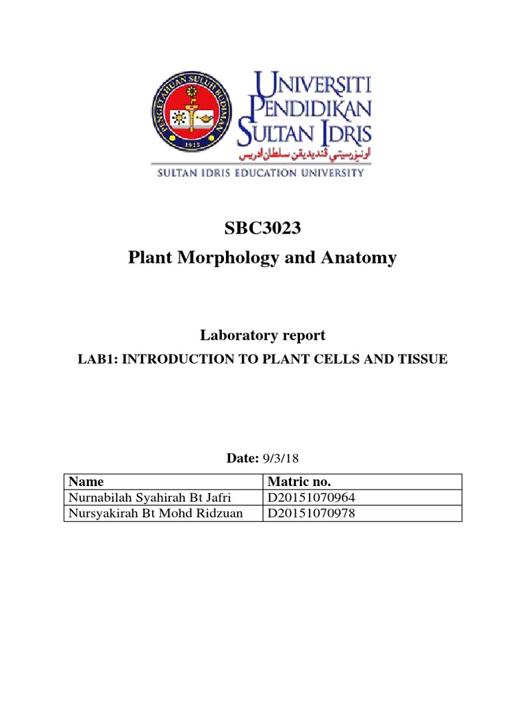Lab 1 Plant Morphology | PDF | Tissue (Biology) | Morphology (Biology)