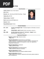 Ejemplo de CV Documentado | PDF | Ciencias de la Computación | Computadoras personales