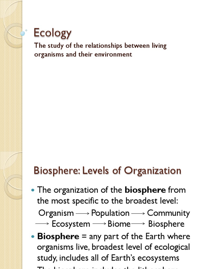 8 Ecology | PDF | Food Web | Ecosystem
