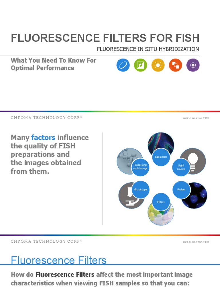 Fluorescence Filters For FISH | PDF | Optical Filter | Fluorescence