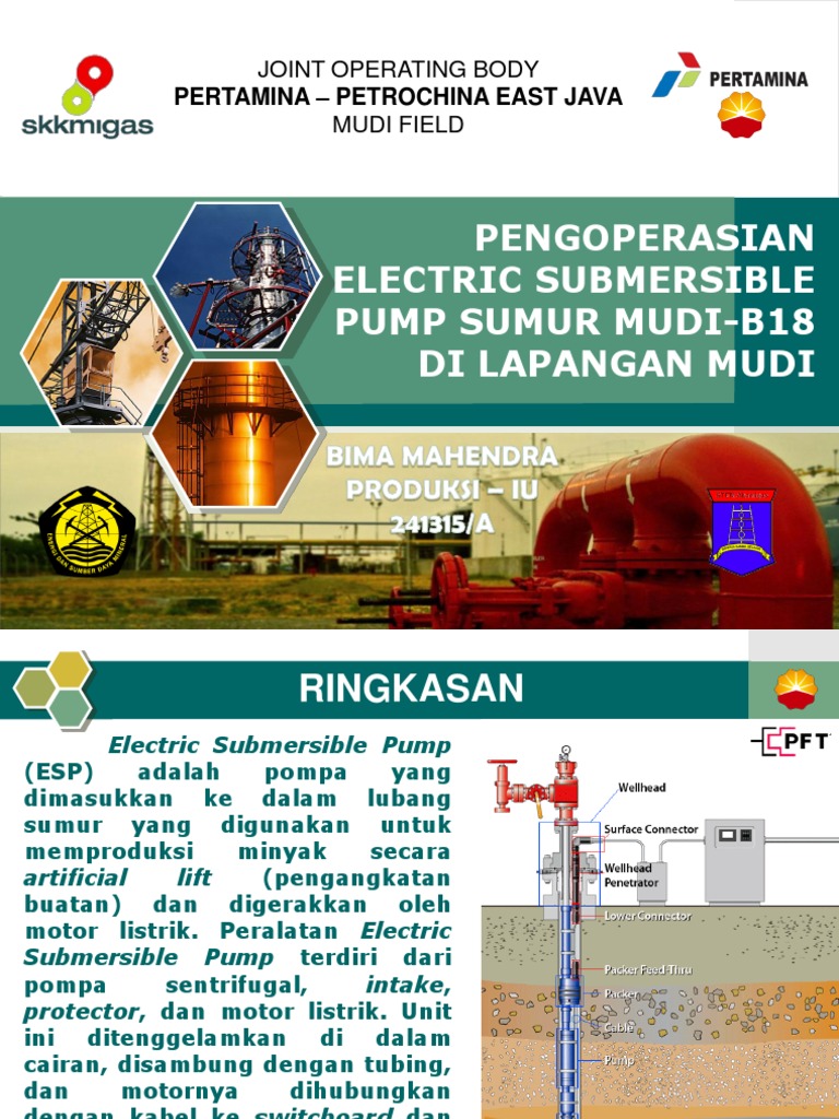 Presentasi ESP | PDF