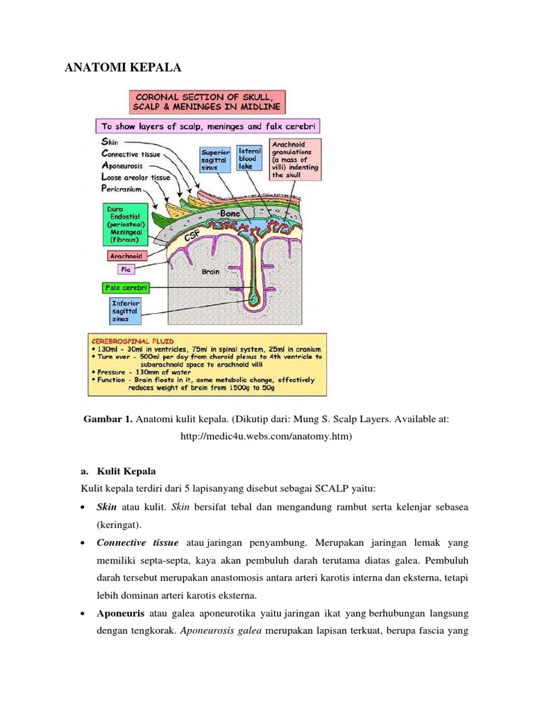 Kontusio/komosio Serebri | PDF