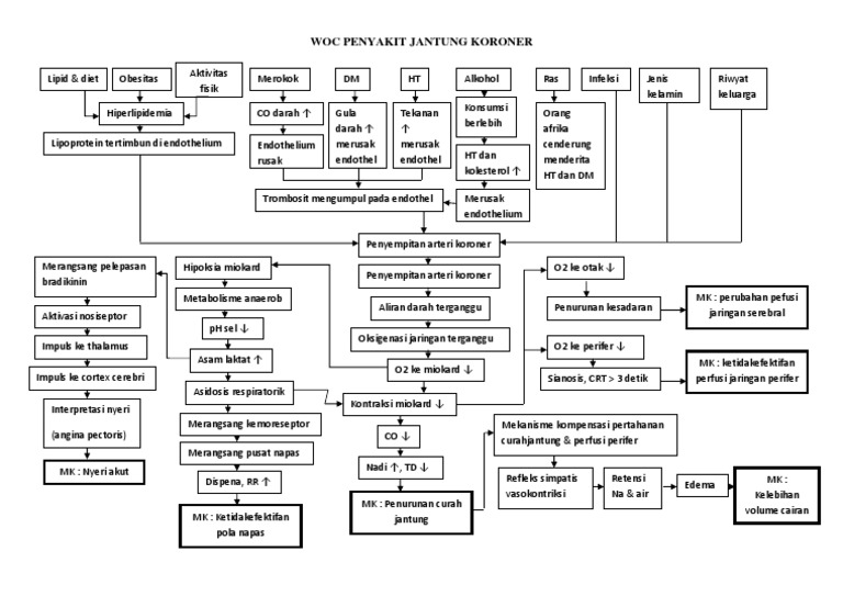 Woc Penyakit Jantung Koroner